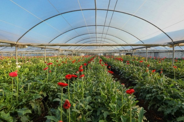 Western Victoria Agricultural Farm Land and Infrastructure | Business Sales